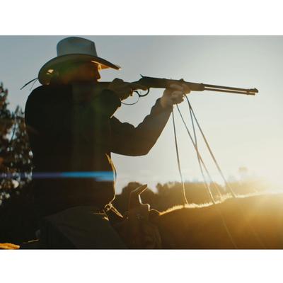 Bullseye North | GForce Arms Huckleberry Lever Rifle 357 Magnum, Case ...